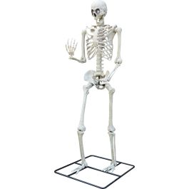 10ft Standing Titan Skeleton with LED Eyes - FrightProps.com
