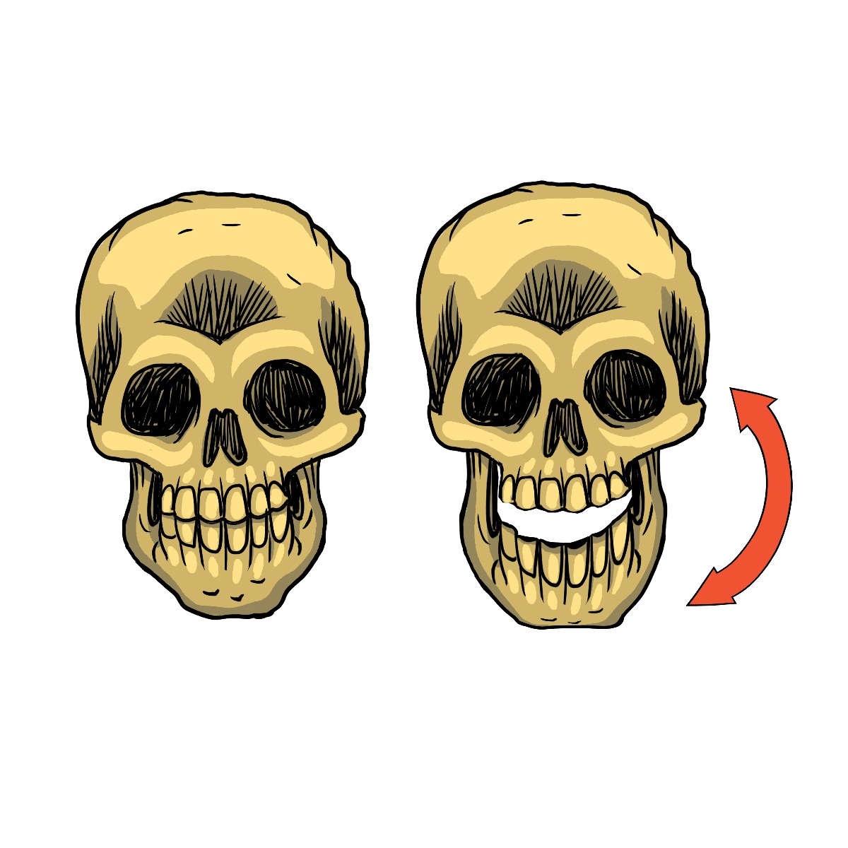Talking Skull Jaw Movement Servo Kit